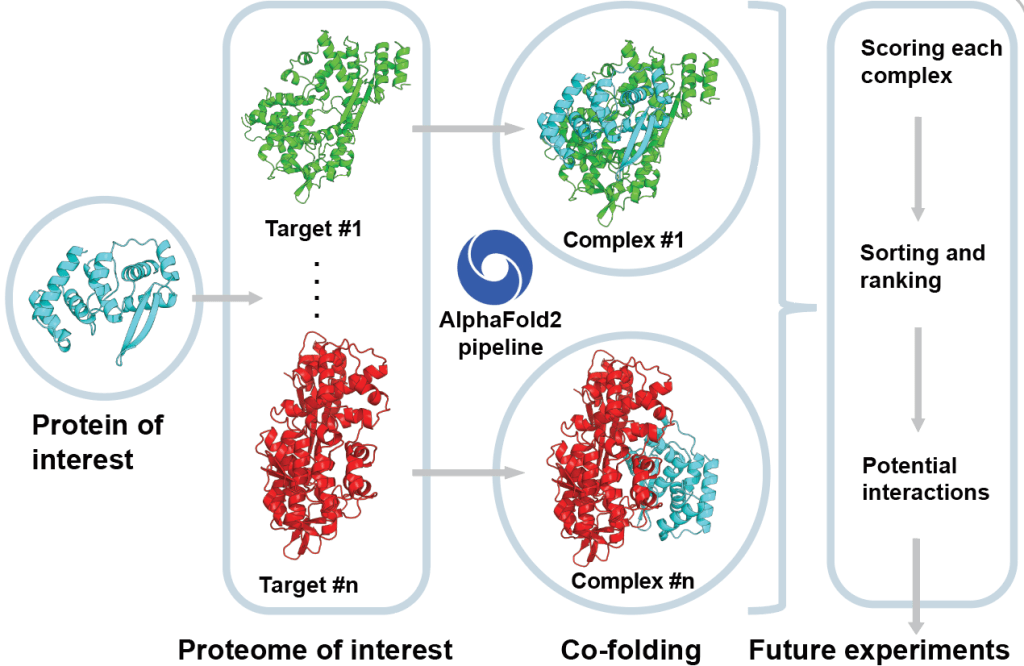 LU-Fold: a protein structure prediction facility at Lund University | The Atkinson lab